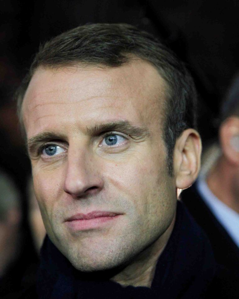 The French president wants to “build a French-style ecology”