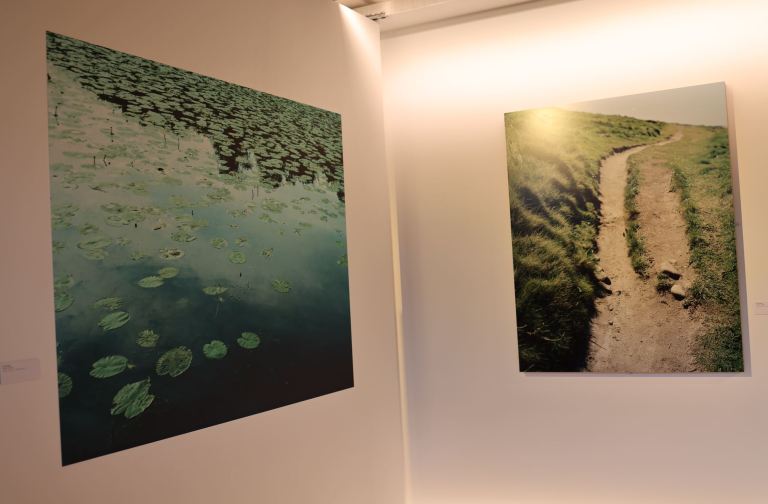 Kate Barry, her work exhibited in Paris – French Glimpses