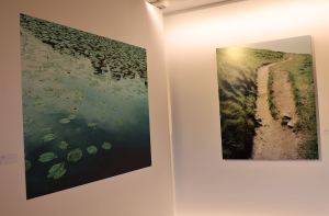 Kate Barry, her work exhibited in Paris – French Glimpses