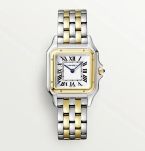 What makes Cartier famous around the world ? – French Glimpses