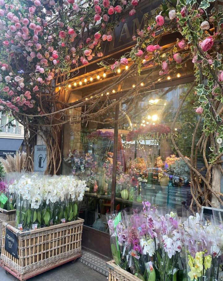 The most beautiful florists in Paris – French Glimpses