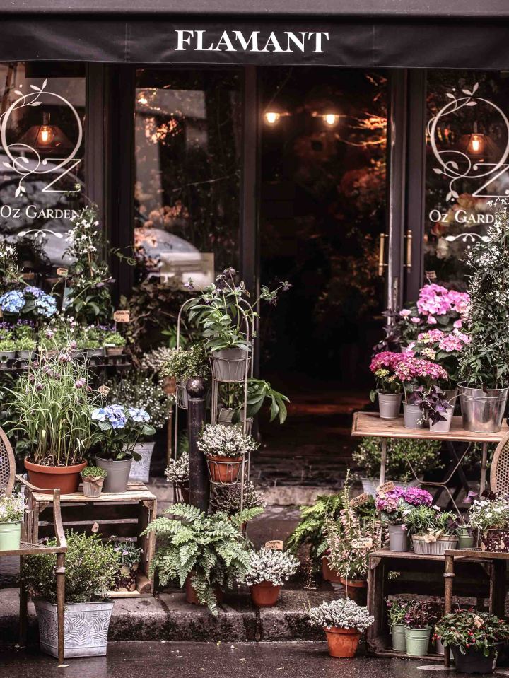 The most beautiful florists in Paris – French Glimpses