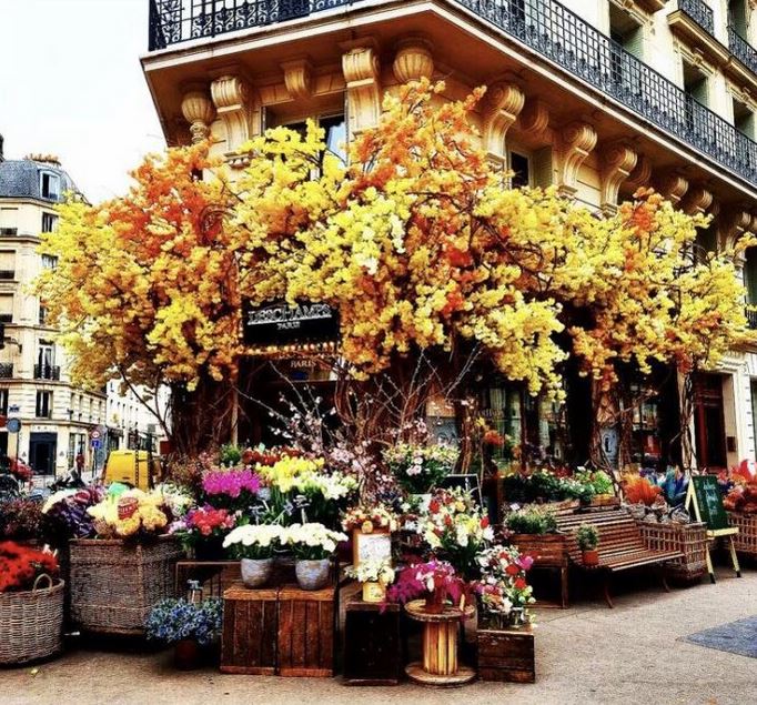 Top 10 Stunning Florists in Paris – French Glimpses
