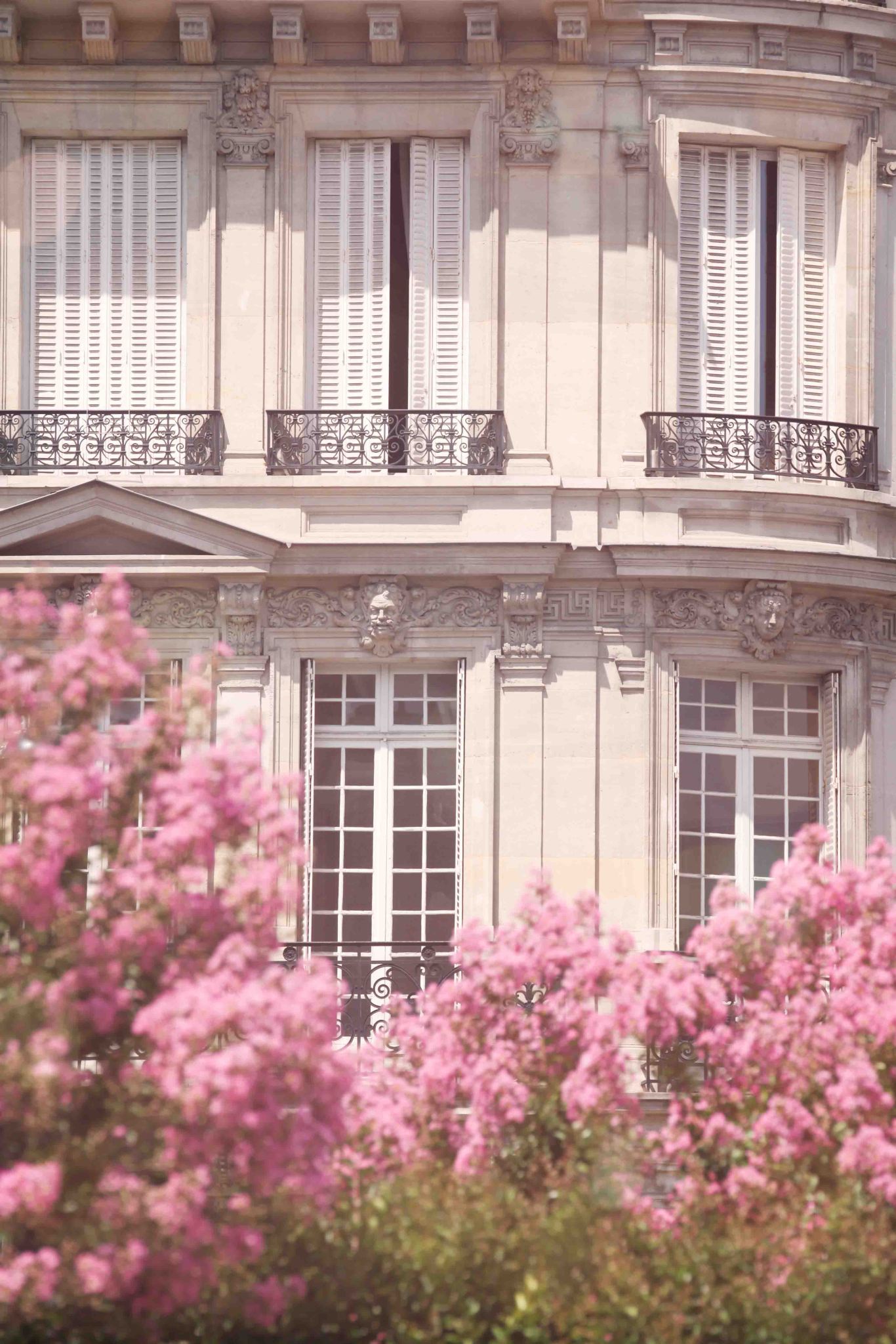 Top 10 Spots for Spring Blossoms in Paris – French Glimpses