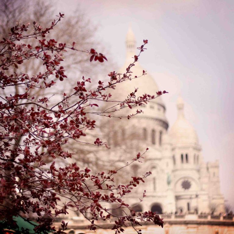 Top 10 Summer Activities in Paris You Can’t Miss – French Glimpses